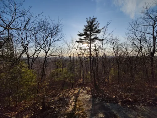 Best Hikes and Trails in Susan B. Minns Sanctuary | AllTrails