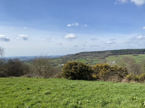 Best 10 Hikes and Trails in Blackdown Hills Area of Outstanding Natural ...