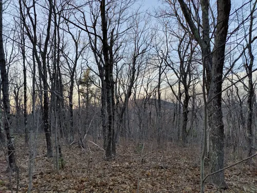 Best Hikes and Trails in Susan B. Minns Sanctuary | AllTrails