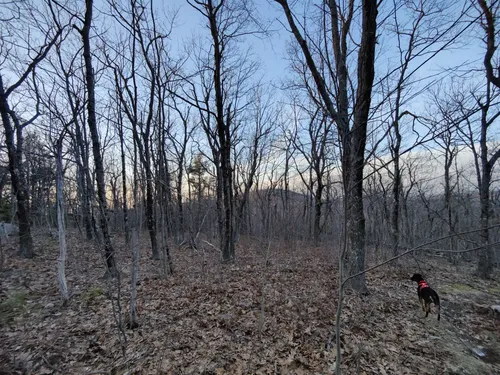 Best Hikes and Trails in Susan B. Minns Sanctuary | AllTrails