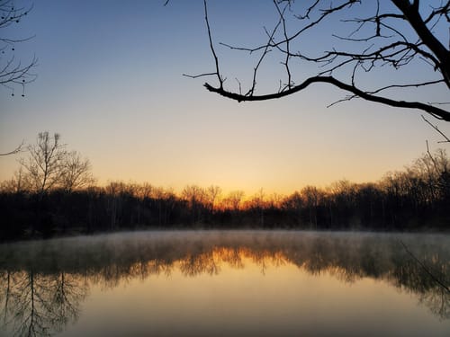 Best Hikes and Trails in Sycamore State Park | AllTrails