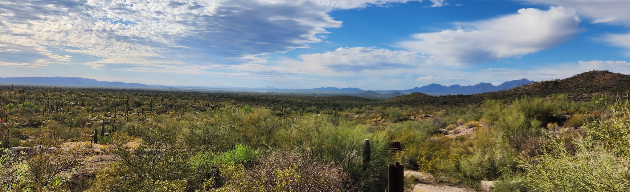 Victoria Mine Trail, Arizona - 465 Reviews, Map | AllTrails
