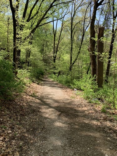 Best Hikes and Trails in Faust County Park | AllTrails