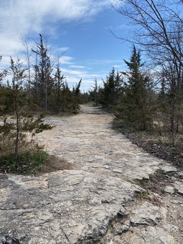 De beste routes in Wainfleet Wetlands Conservation Area voor 2023 ...