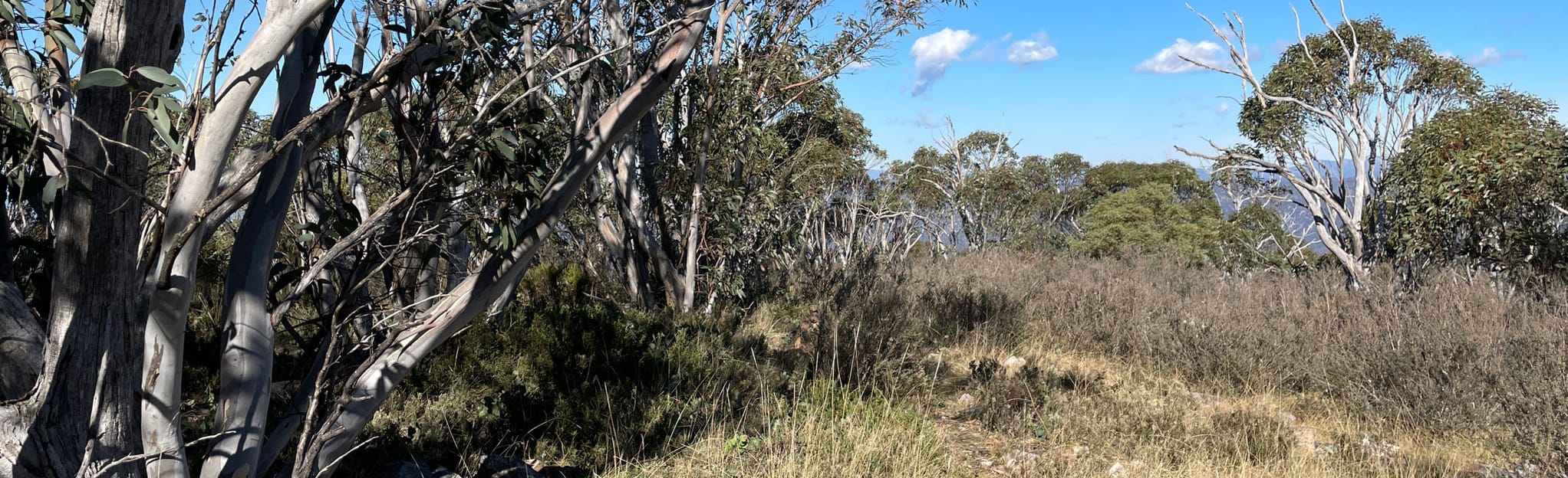 Tidbinbilla Peak via John’s Peak: 12 Reviews, Map - Australian Capital ...