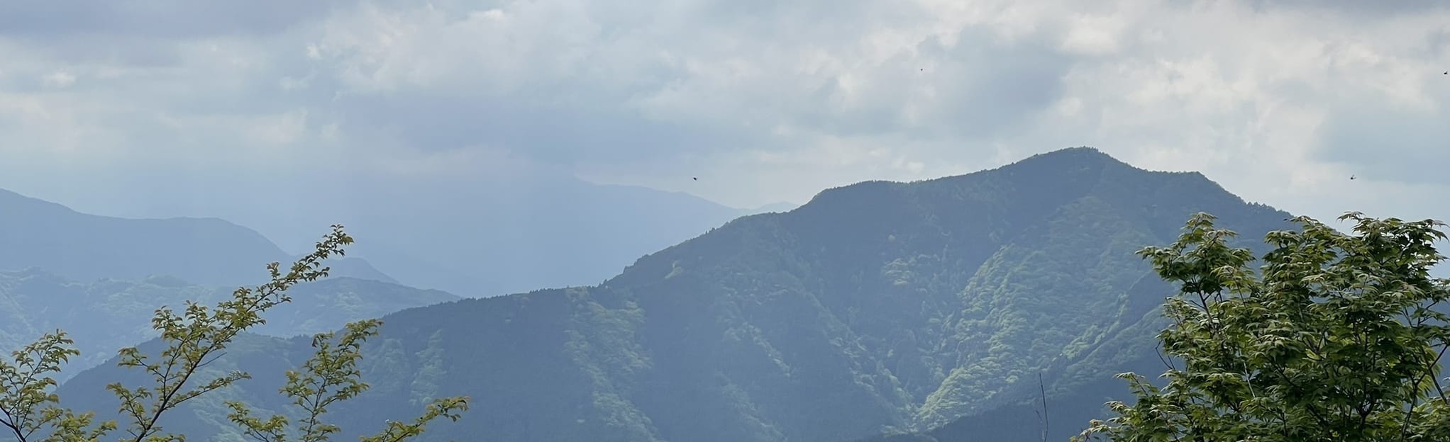 Rock Garden - Mount Odake - Musashi Mitake Shrine Loop: 442 foto's ...