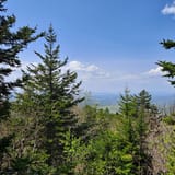 Copple Crown Mountain, New Hampshire - 496 Reviews, Map | AllTrails