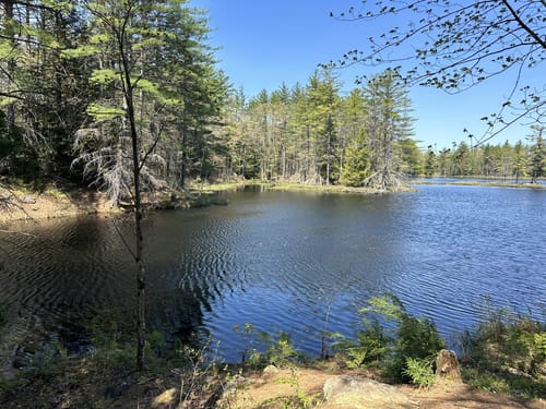 2023 Best Easy Trails in Dunbarton | AllTrails