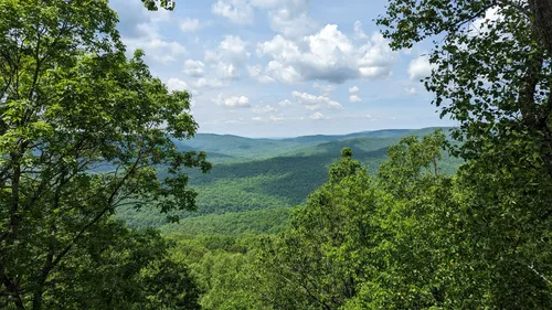 10 Best Trails and Hikes in Sewanee | AllTrails