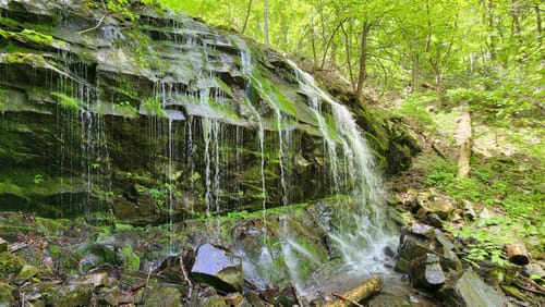 Best Hikes and Trails in Shaupeneak Ridge Park | AllTrails