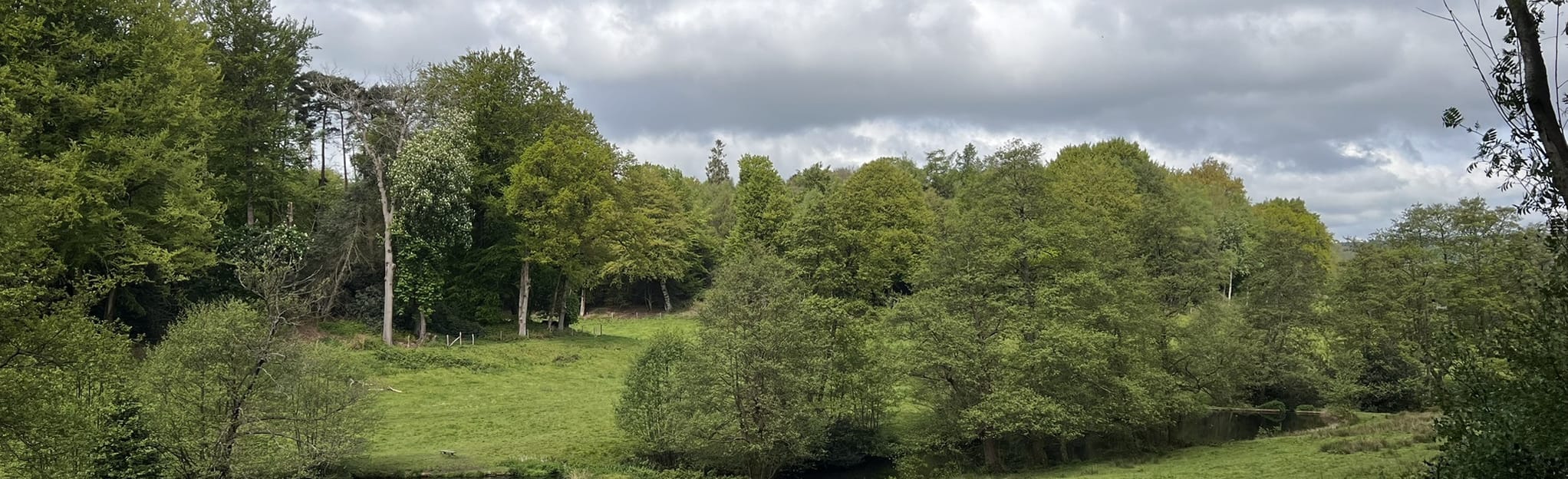 AllTrails | Surrey Three Peaks - Boxhill, Holmbury Hill, Leith Hill ...