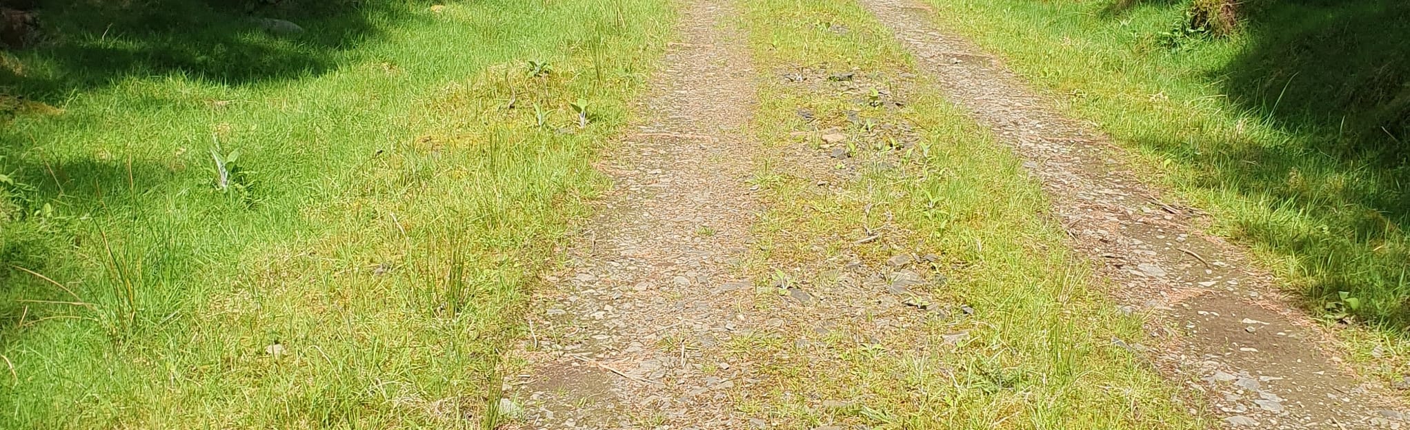Lower Slieve Felim: 13 foto's - County Limerick, Ierland | Wandelen ...