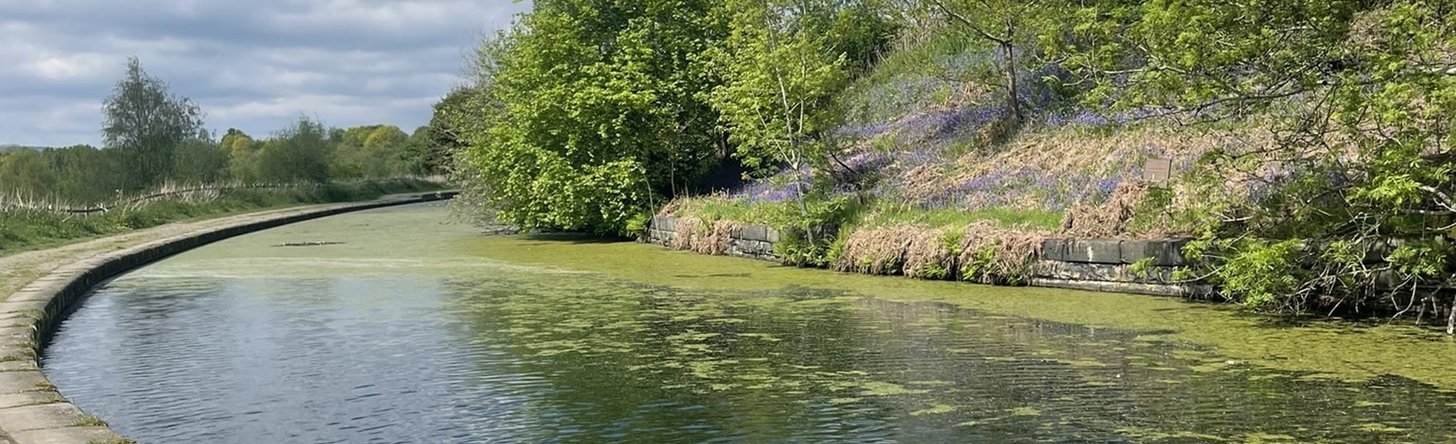 Moses Gate Country Park Circular: 103 Reviews, Map - Greater Manchester ...