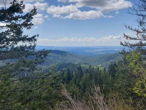 10 Best Hikes and Trails in Mount Spokane State Park | AllTrails