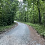 Currahee Mountain, Georgia - 573 Reviews, Map | AllTrails