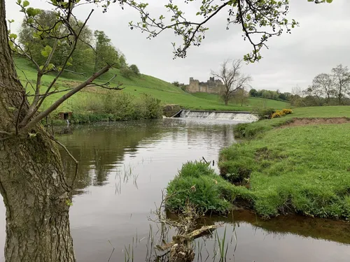 2023 Best Moderate Trails in Hulme Park | AllTrails