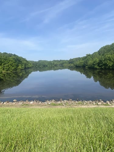 Best Hikes and Trails in Huntsman Park | AllTrails