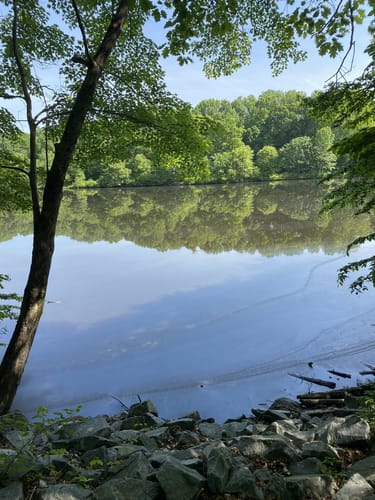 Best Hikes and Trails in Huntsman Park | AllTrails