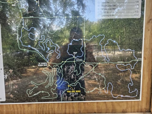 2023 Best Views Trails in Wekiwa Springs State Park | AllTrails