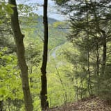 Barbour Rock Blue Overlook Trail, Pennsylvania - 584 Reviews, Map ...