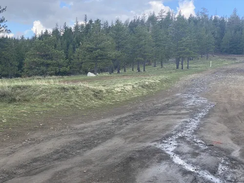 Best Hikes and Trails in Naneum Ridge State Forest | AllTrails