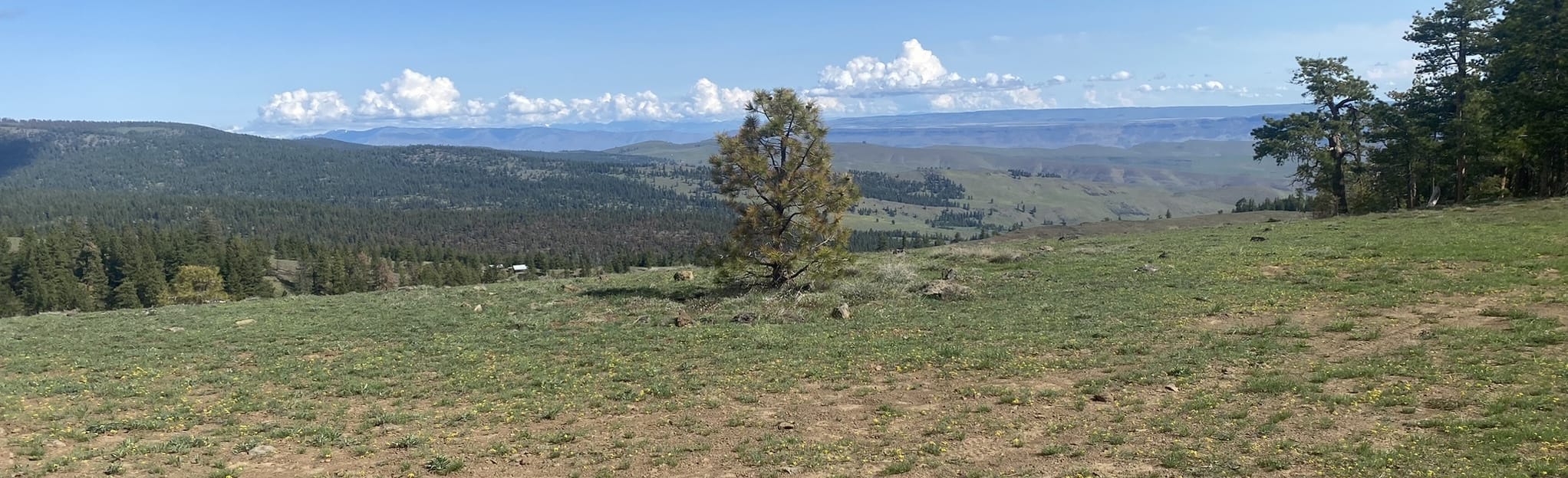 Colockum Road, Washington - 22 Reviews, Map | AllTrails