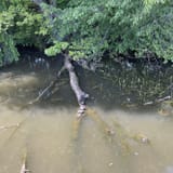 Congers Lake Trail and Boardwalk [PRIVATE PROPERTY], New York - 290 ...