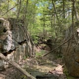 Pine Swamp Loop, New York - 1,172 Reviews, Map | AllTrails