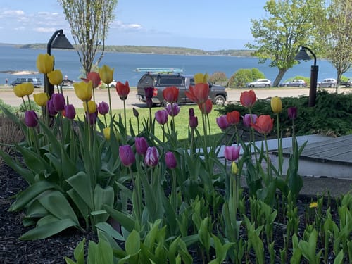 Best Hikes and Trails in Eastern Promenade | AllTrails