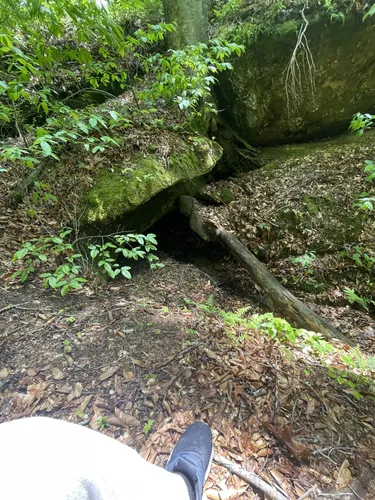 Best Kid Friendly Trails in Adams | AllTrails