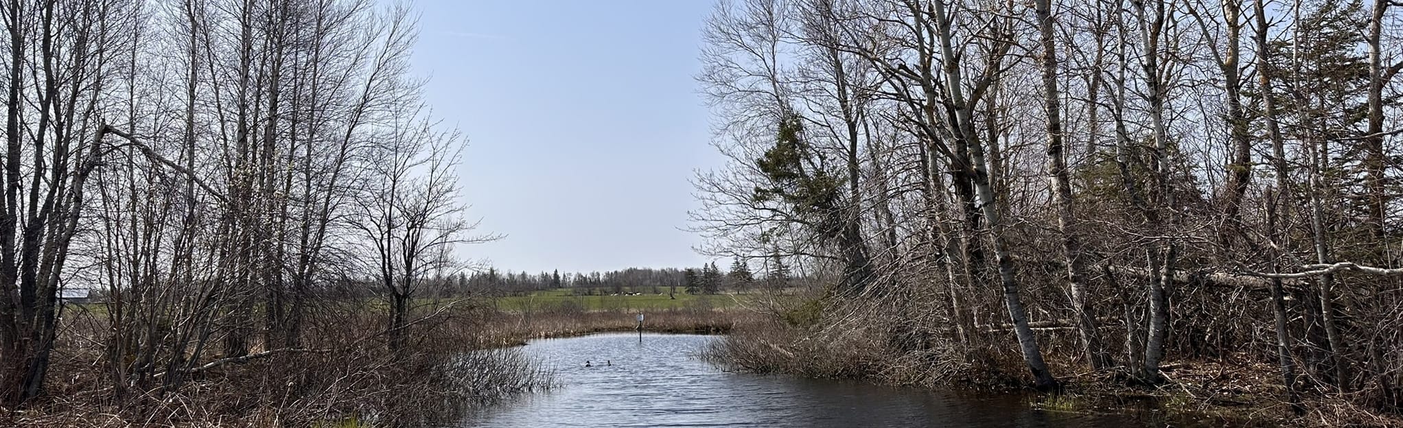 AllTrails | Confederation Trail: N York River to York: 7 Reviews, Map ...