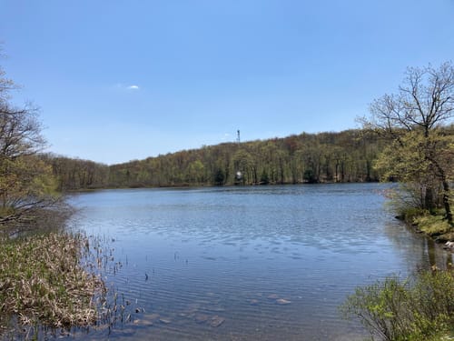 Best Hikes and Trails in Taconic Ridge State Forest | AllTrails