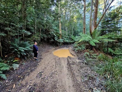 Best Hikes and Trails in Dial Range Regional Reserve | AllTrails