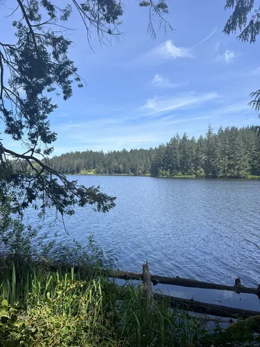 Best Hikes and Trails in Hemer Provincial Park | AllTrails