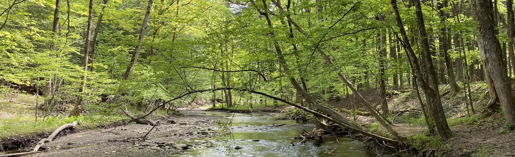 AllTrails | Lisha Kill Nature Loop: 1030 Reviews, Map - New York