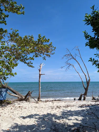 Best Hikes and Trails in Historic Virginia Key Beach Park | AllTrails