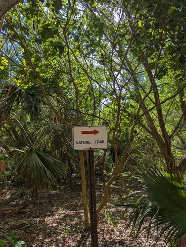 Best Hikes and Trails in Historic Virginia Key Beach Park | AllTrails