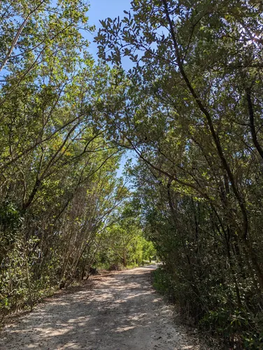 Best Hikes and Trails in Historic Virginia Key Beach Park | AllTrails