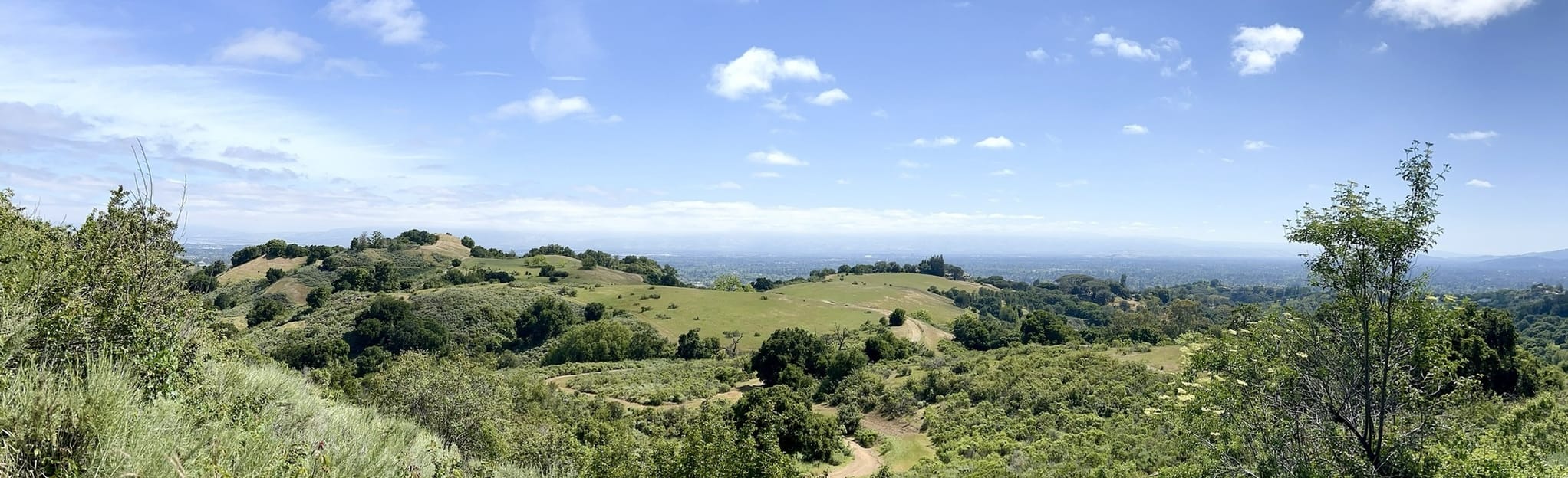 Hayfield Trail to Toyon and Bay View Loop, California - 643 Reviews ...