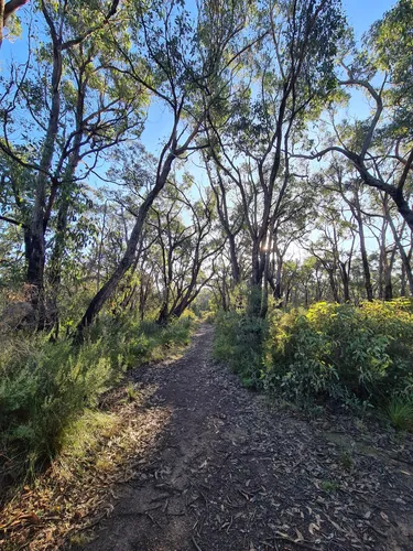 Best Hikes and Trails in Mount Compass | AllTrails