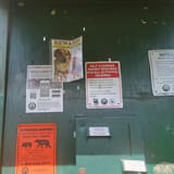 Maurepas Swamp WMA Nature Trail, Louisiana - 23 Reviews, Map | AllTrails