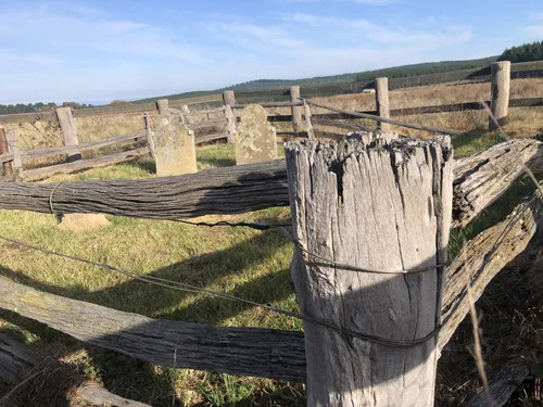 Best Hikes and Trails in Kowen | AllTrails