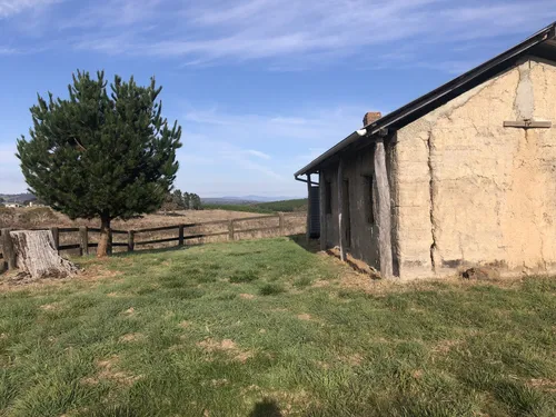 Best Hikes and Trails in Kowen | AllTrails