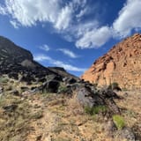 Yellow Knolls Trail, Utah - 437 Reviews, Map | AllTrails