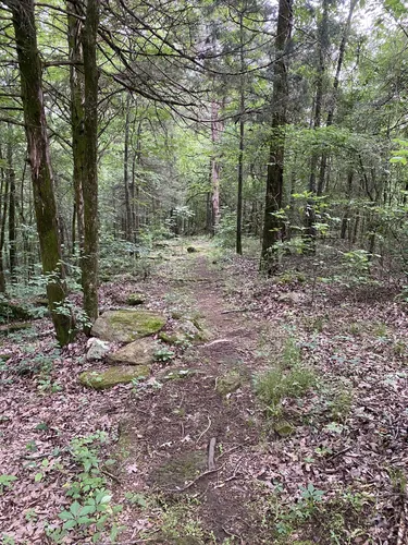 Best Hikes and Trails in Riverside Park | AllTrails