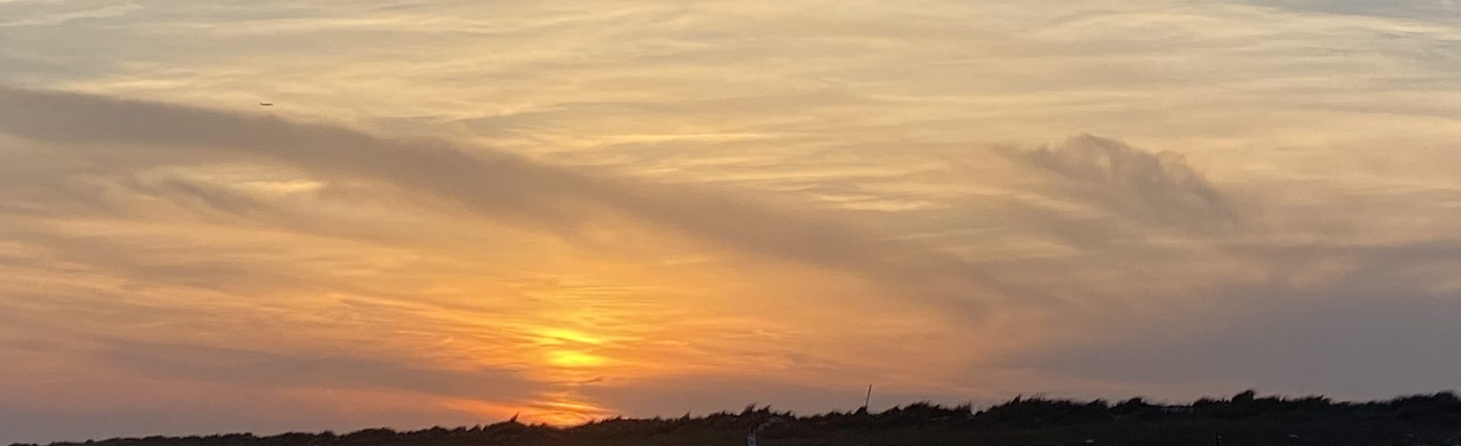 Robert Moses Beach Trail: 36 Reviews, Map - New York | AllTrails