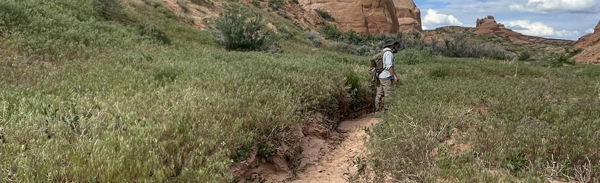 Lost Spring Canyon, Utah - 8 Reviews, Map | AllTrails