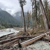 Baker River Trail, Washington - 237 Reviews, Map | AllTrails
