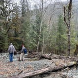Baker River Trail, Washington - 237 Reviews, Map | AllTrails
