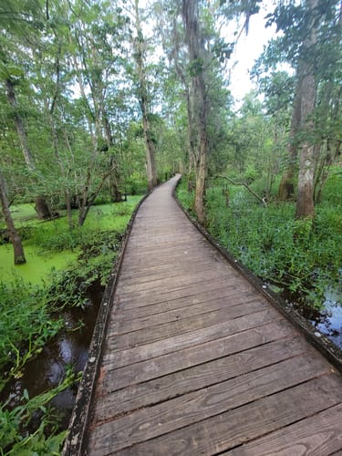 Best Hikes and Trails in Joyce Wildlife Management Area | AllTrails